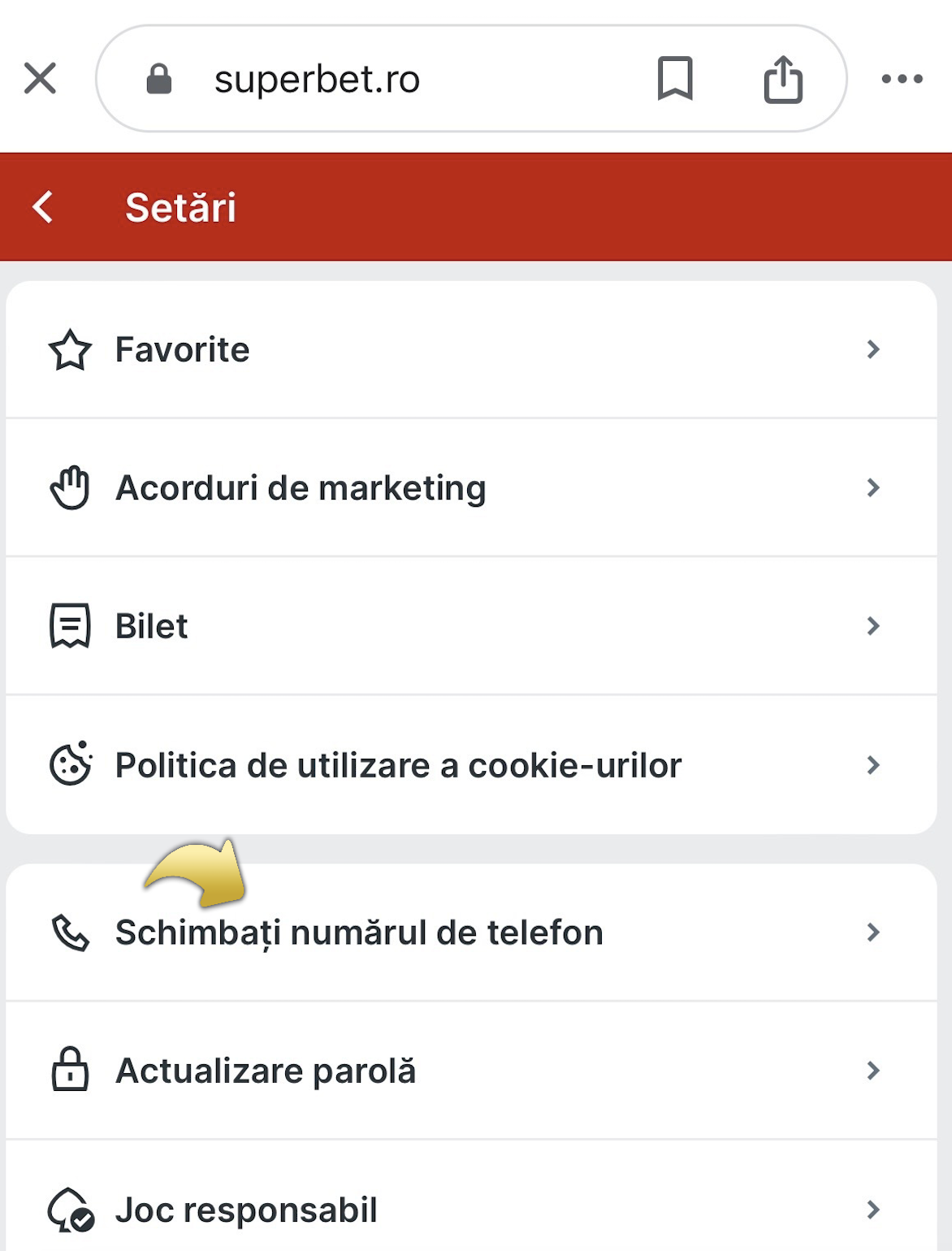 Cum îmi pot actualiza datele personale din contul meu Superbet? – Superbet Suport – Întrebări ...